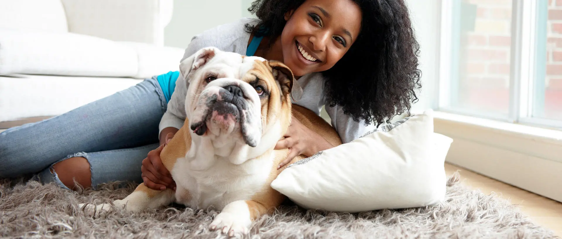 The 5 Best Family Dogs | Kibbles 'n Bits